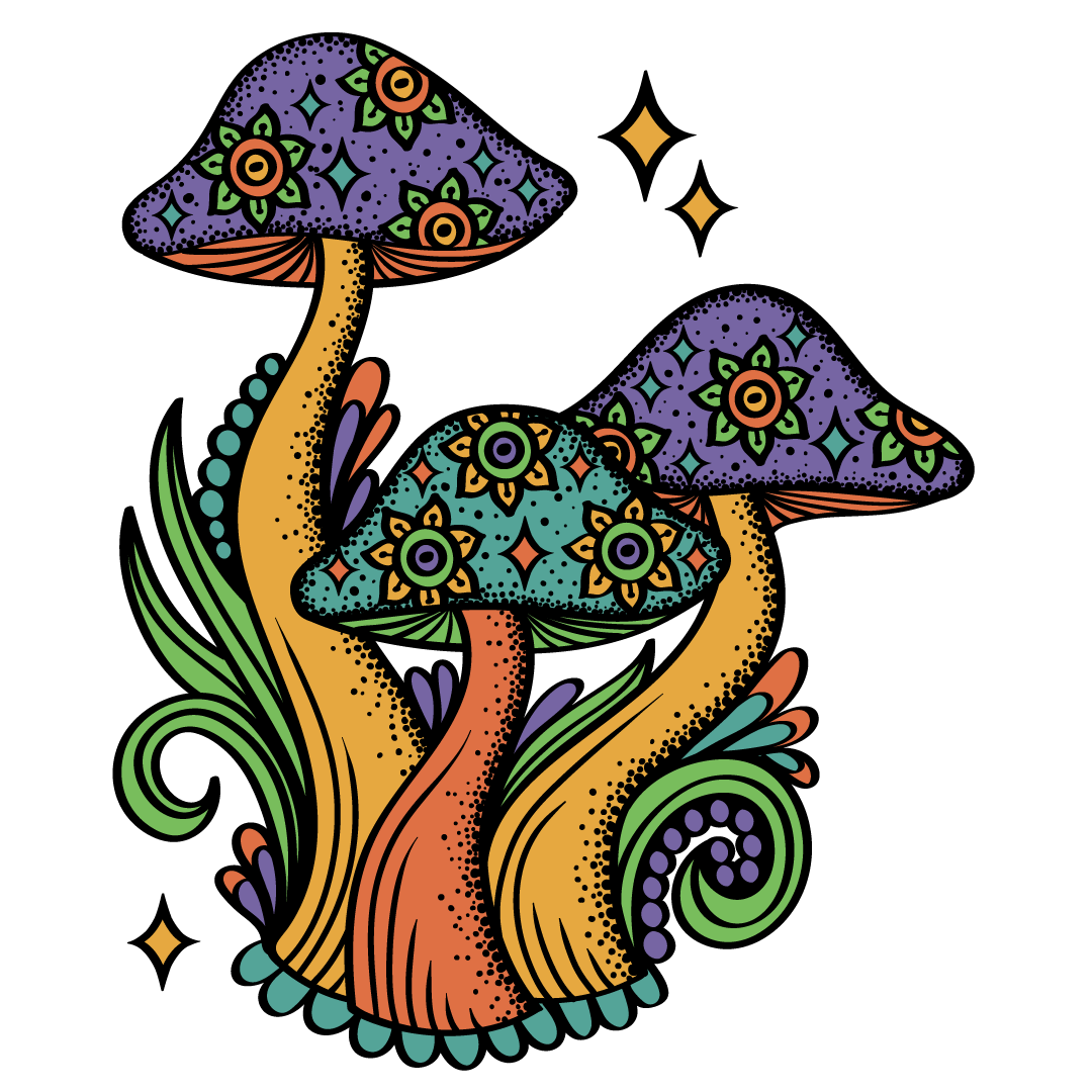 Solshine Reverie | Summer Camp Presents | May 24-26, 2024